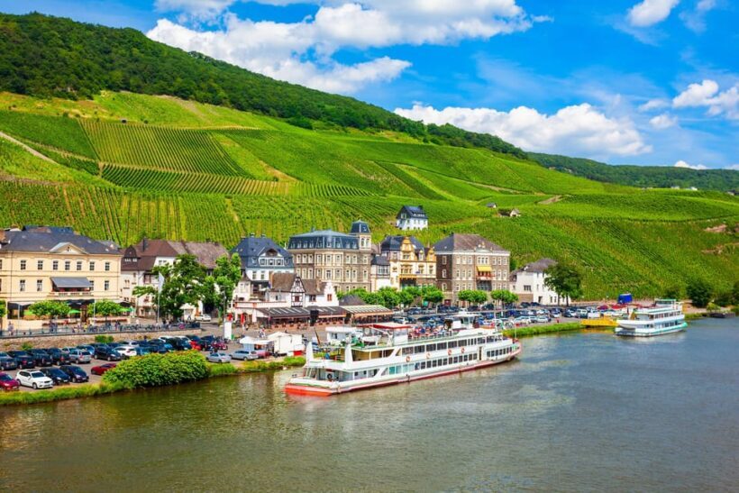 Traben-Trarbach / Bernkastel-Kues, Moselle: Wine experience hike - The Value Proposition