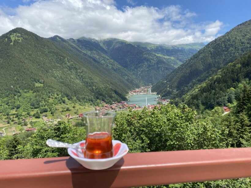 Trabzon: Uzungöl Group Tour, Explore The Nature & Taste Tea - Who Should Consider This Tour?