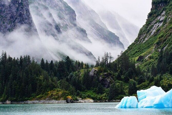 Tracy Arm Fjord and Glacier Explorer from Juneau - Analyzing Value & Cost