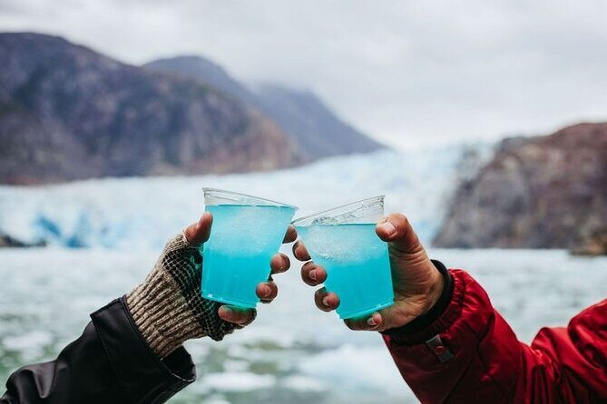 Tracy Arm Fjord and Glacier Explorer from Juneau - Final Thoughts