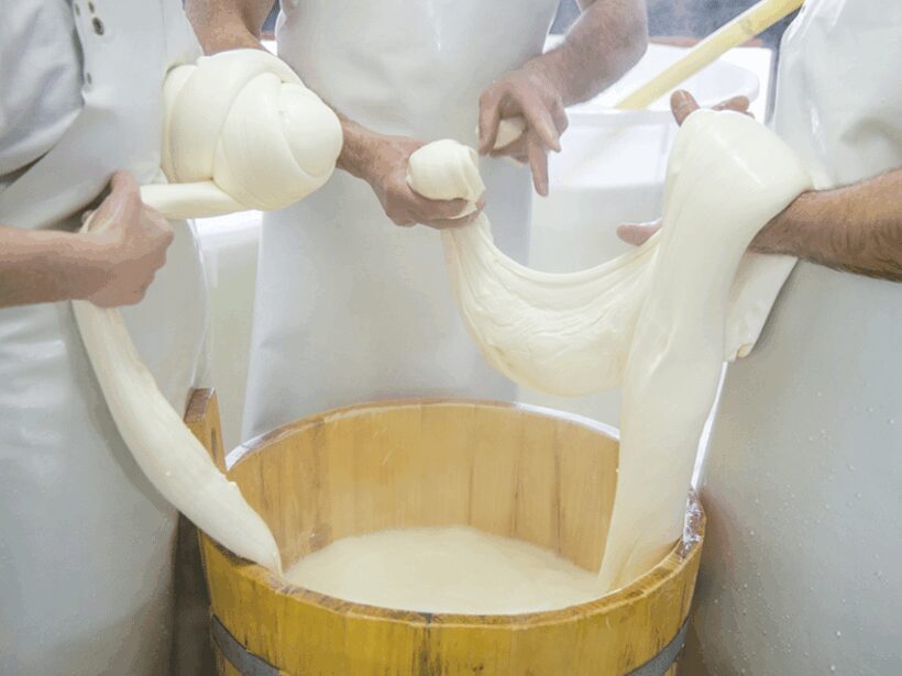 Traditional Cheese Factory Visit with Tasting near Isernia - A Closer Look at the Experience