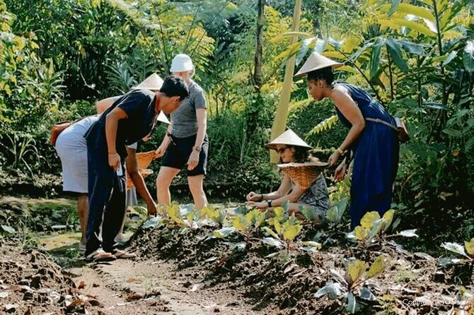 Traditional Cooking Class In Ubud With Local Balinese Family - In The Sum Up