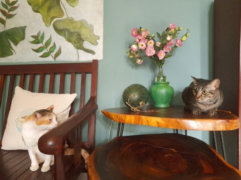 Traditional Cooking Class Local Home Green Fishsauce Kitchen - Who Should Consider This Cooking Class?