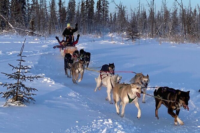 Traditional Dog Sledding Adventure in Yellowknife - The Cultural Significance