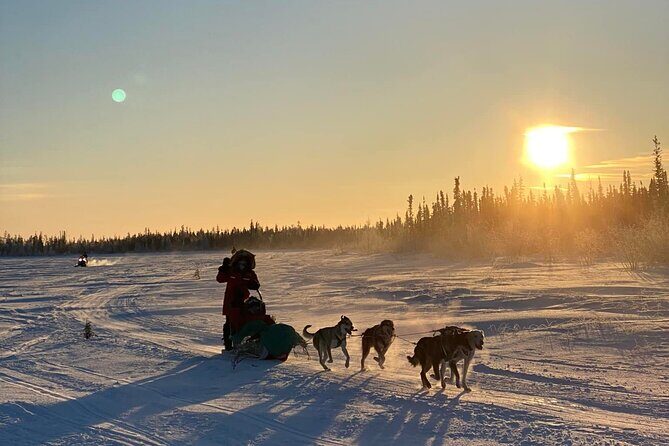 Traditional Dog Sledding Adventure in Yellowknife - The Sum Up