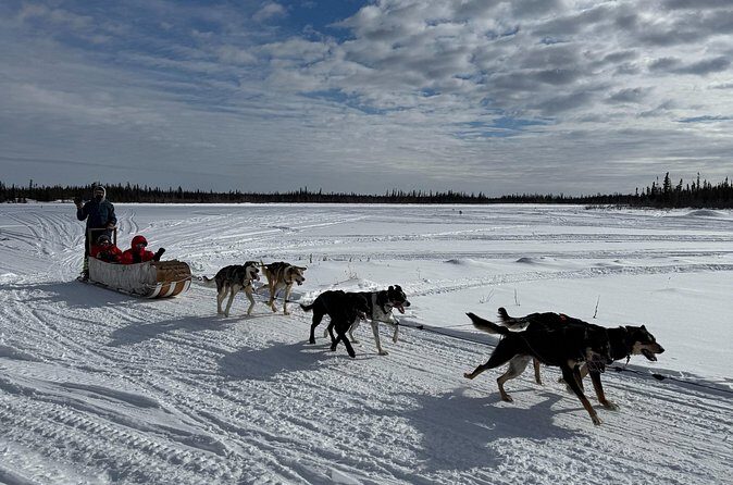 Traditional Dog Sledding Adventure in Yellowknife - FAQ