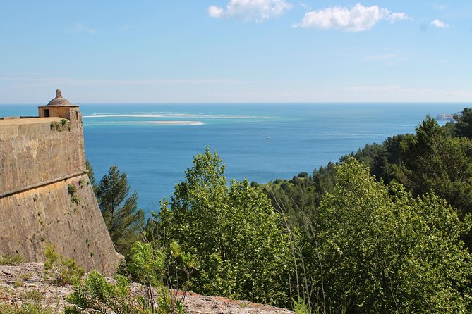 Traditional Fishermans Food Experience, Private Tour - Immersing Yourself at Mercado do Livramento