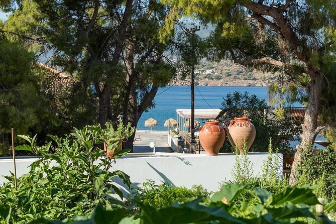 Traditional Greek Cooking Class and Organic Lunch on Poros - The Sum Up