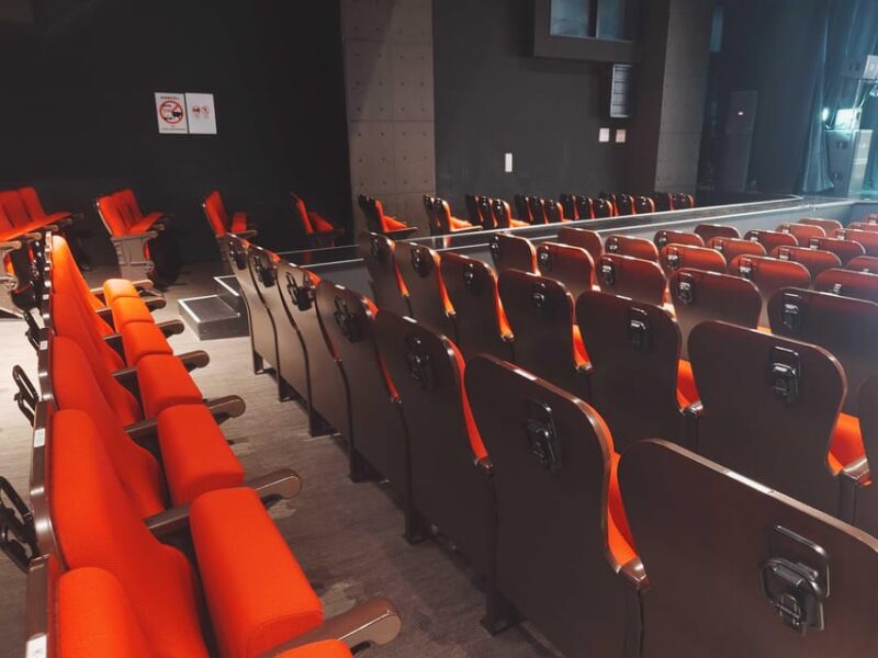 Traditional Japanese Dance Show! The Art of Nihon Buyō - Appreciating Nihon Buyō