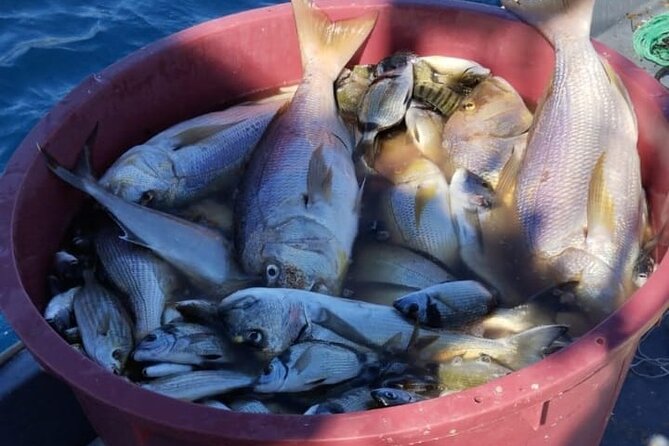 Traditional Mengo Fishing & fish picnic Hvar - Key Points