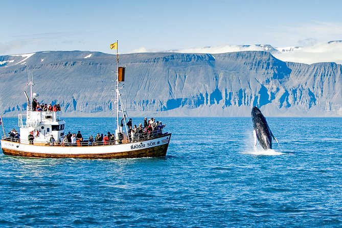 Traditional Oak Ship Whale Watching Tour Review - Guest Experiences