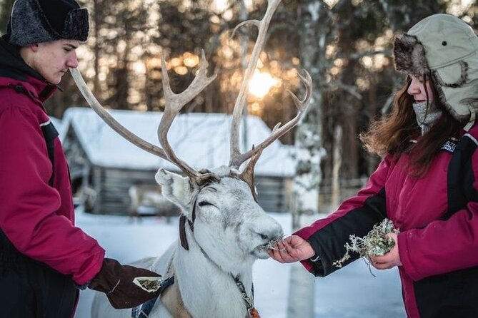 Traditional Reindeer Farm Visit with a Short Sleigh Ride - The Scenic and Cultural Appeal