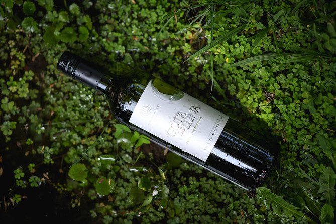 Traditional Tour Viña Cousiño Macul Official Portuguese - Key Points