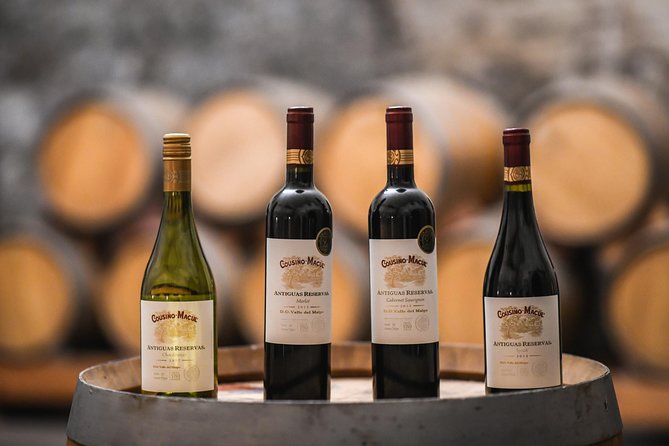 Traditional Tour Viña Cousiño Macul Official Portuguese - Accessibility and Participation