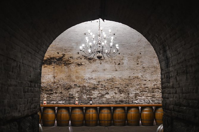 Traditional Tour Viña Cousiño Macul Official Portuguese - Tour Highlights