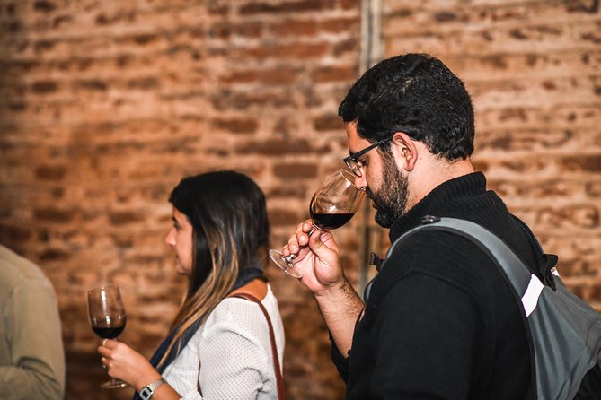 Traditional Tour Viña Cousiño Macul Official Portuguese - Visitor Reviews and Ratings