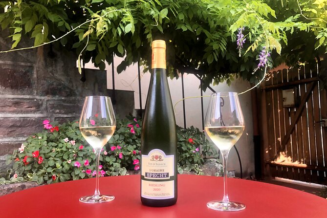 Traditional Visit and Tasting - Wine Tasting Process