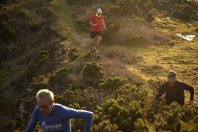 Trail Running private tour in Faial - An In-Depth Look at the Faial Trail Running Experience