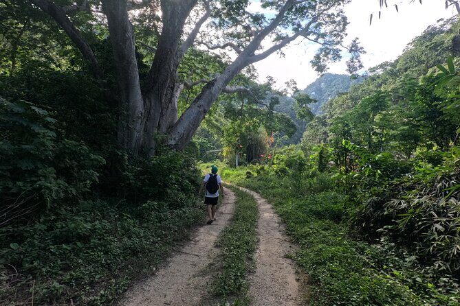Trail to the Waterfall: A Journey to the Essence of Nature - Authenticity and Value