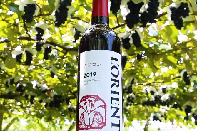 Train and Taxi Grape Temple and Winery Tour in Yamanashi - Expectations and Requirements