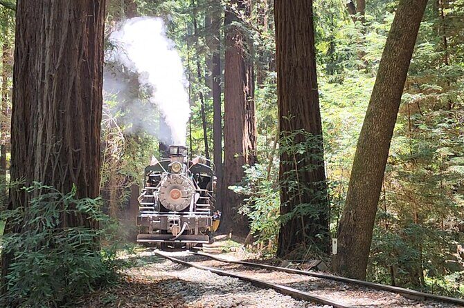 Train Ride Adventure through Mother Natures Giant Redwoods Park - An In-Depth Look at the Experience