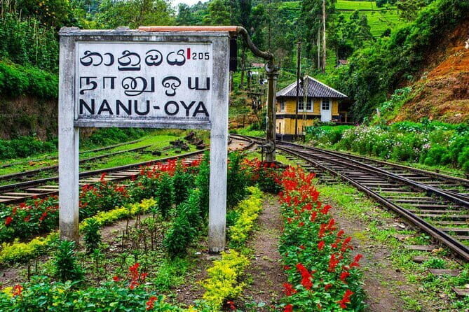 Train Tickets Reservation from Nuwara Eliya to Kandy or Colombo - Why Book in Advance?