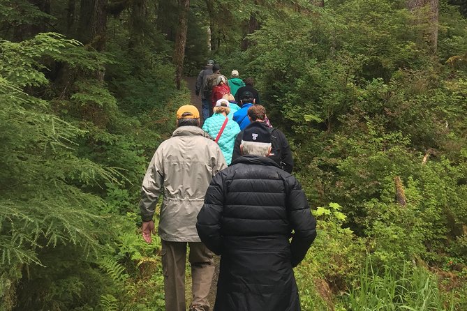 Traitors Cove Bear Viewing - Who Will Enjoy This Tour?