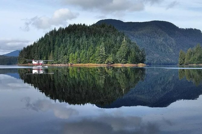 Traitors Cove Bear Viewing - FAQ