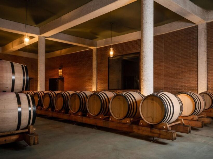 Tramin/Termeno: Winery Tour & Wine Tasting, J. Hofstätter - Key Points