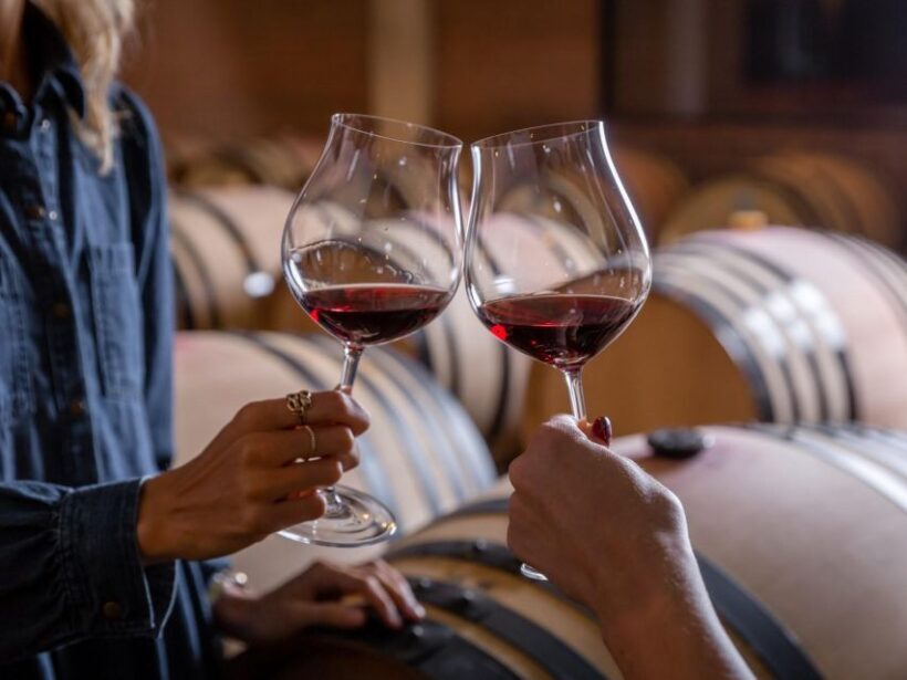 Tramin/Termeno: Winery Tour & Wine Tasting, J. Hofstätter - The Guided Wine Tasting: Six Wines for Your Senses