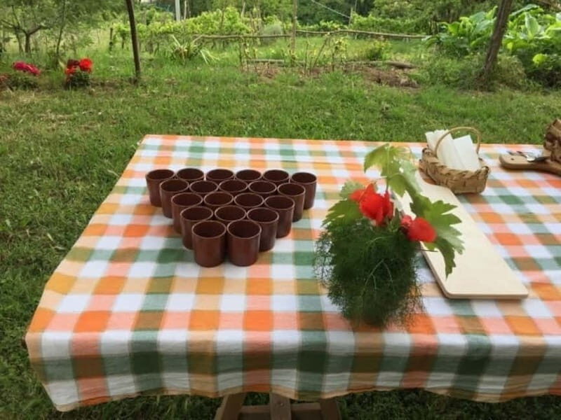 Tramonti: "Re Fiascone" Tomato Tasting - The Sum Up