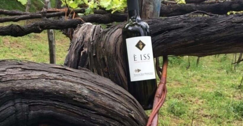 Tramonti: Tenuta San Francesco Wine Tasting - Authenticity and Value