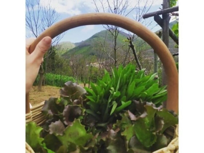 Tramonti: Traditions of the Mediterranean Diet Cooking Class - An In-Depth Look at the Experience