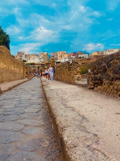 TRAMVIA From Naples: Ercolano Ruins e Vesuvius Transfer bus - Who Will Appreciate This Tour?