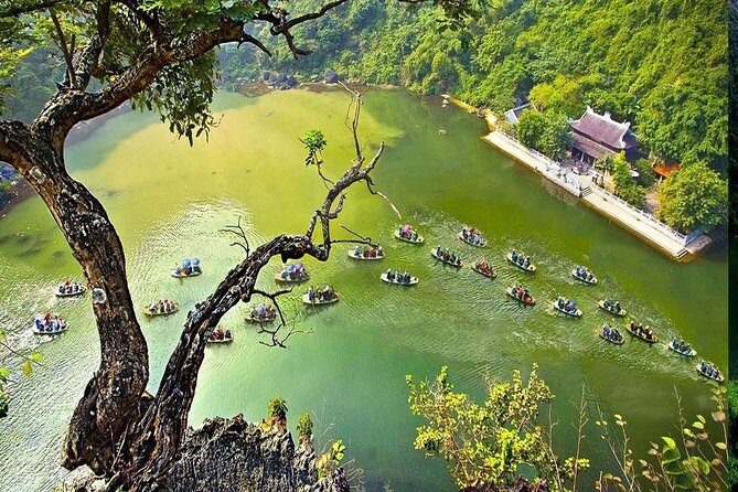Trang An Bai Dinh Mua Cave Luxury 1 Day Group Tour From Hanoi - Transportation and Comfort