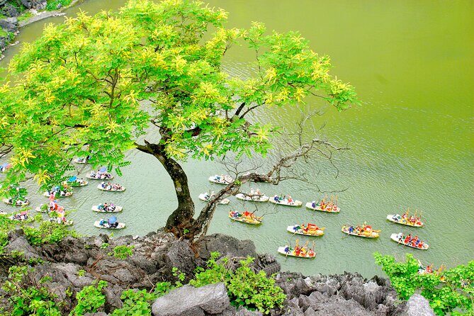 Trang An Bai Dinh Mua Cave Luxury 1 Day Group Tour From Hanoi - Final Words: Who Will Love This Tour?