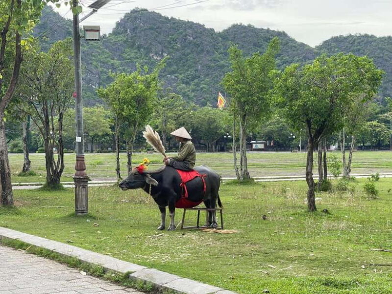 Trang An - Mua Cave - Hoa Lu - Biking- visiting local family - FAQ