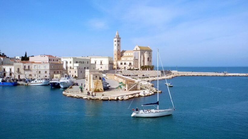 Trani: Private Walking Tour - Final Stroll: The Vibrant Marina