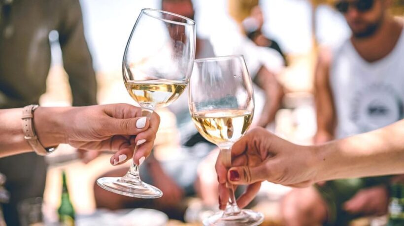 Trani Wine Tours: Flavors of Puglia - The Itinerary: What to Expect