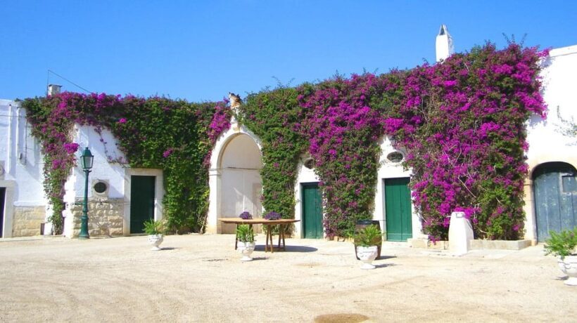 Trani Wine Tours: Flavors of Puglia - The Value of This Tour