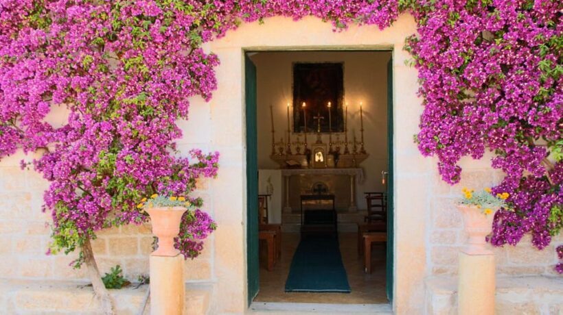 Trani Wine Tours: Flavors of Puglia - Practical Tips