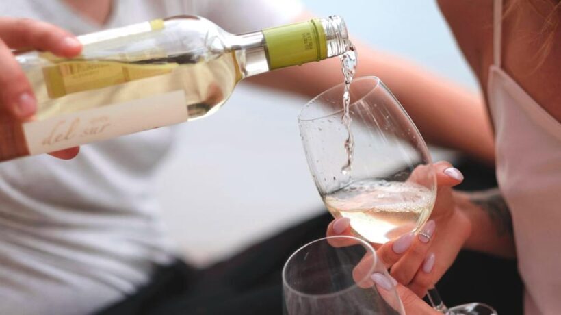 Trani Wine Tours: Flavors of Puglia - The Sum Up: Who Should Book This Tour?