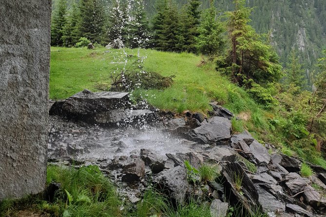 Transfagarasan Highway and Balea Lake E-Bike Tour - Savoring the Mountain Cuisine