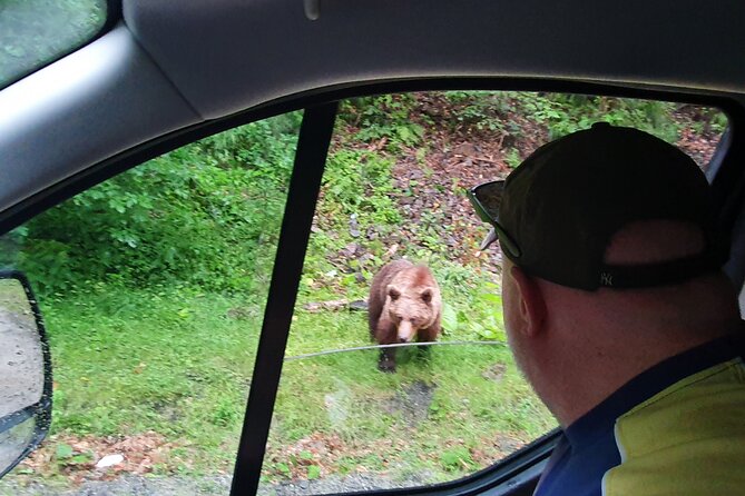 Transfagarasan Road Private Day Trip from Bucharest / The Best Road in the World - The Practical Side: Transportation, Timing, and Comfort
