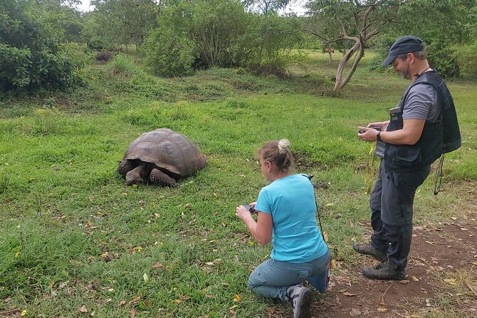 Transfer Airport-Hotel in Galapagos Santa Cruz With Visit to Giant Tortoises - Lava Tunnels Exploration