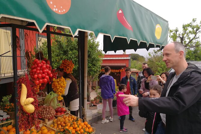 Transfer also for disabled Naples / Sorrento / Amalfi Coast - The Experience: Beyond a Simple Transfer