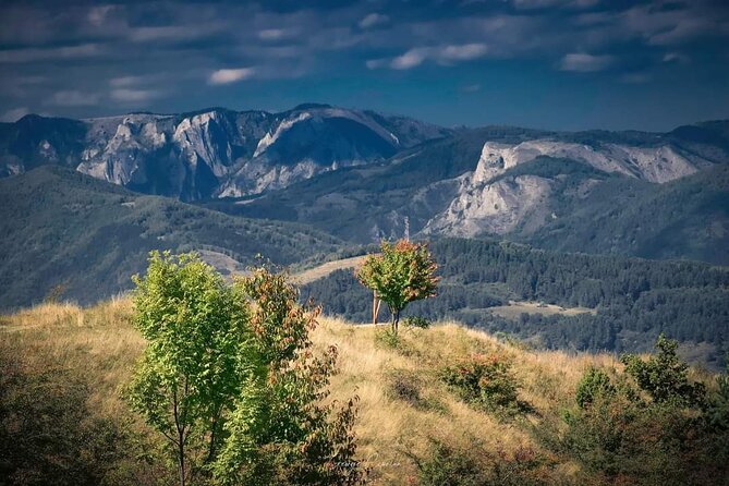 Transfer Bucharest -Brasov with Targoviste and Bran Castle visits - Final Thoughts: Is This Tour Right for You?