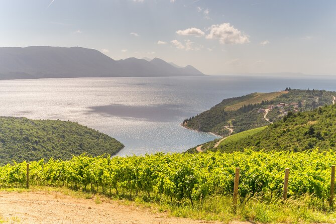 Transfer Dubrovnik to Split With Sightseeing in Ston Town - Key Points