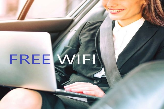 Transfer from Alicante airport to Albir in private Sedan car max. 3 passengers - The Sum Up