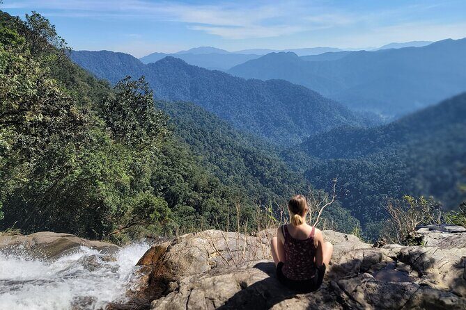 Transfer from Da Nang or Hoi An to Hue via Bach Ma National Park - The Itinerary in Detail